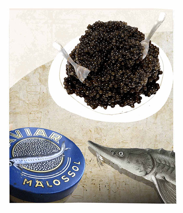 Eggstravagance | Gourmet Traveller