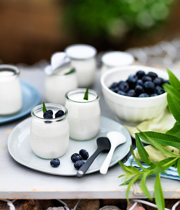 Pot-set yoghurt with lemon verbena and blueberries recipe | Kitchen by ...