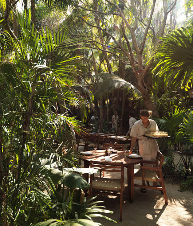 Fifty-four things I thought while eating dinner at Noma Mexico ...