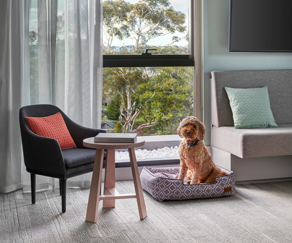 The best dog-friendly hotels in Australia | Gourmet Traveller