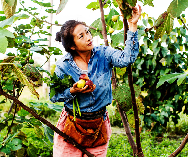 Christmas cooking tips from Australia's top chefs | Gourmet Traveller