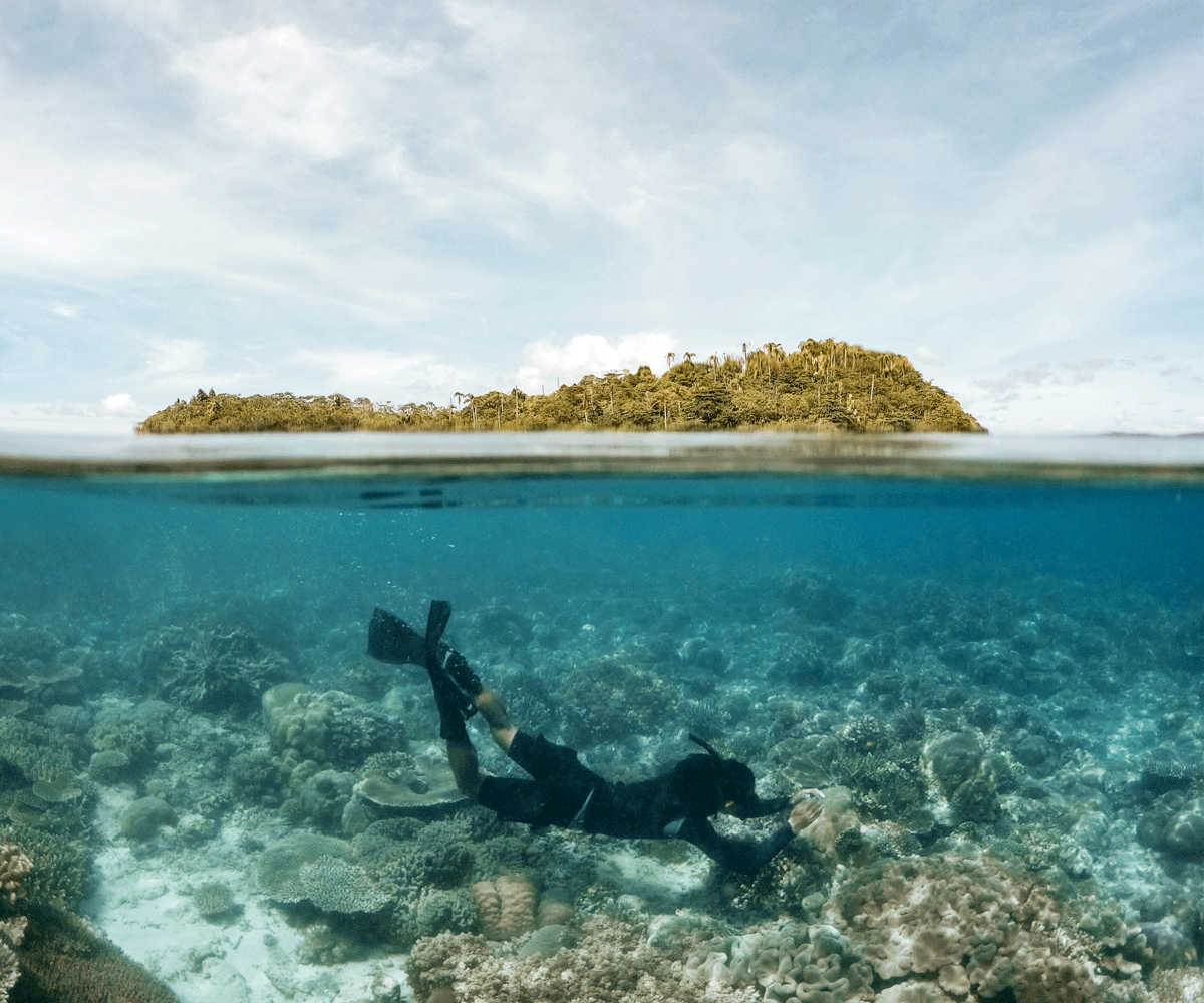 Guide to the Maluku Islands aka Spice Islands | Gourmet Traveller