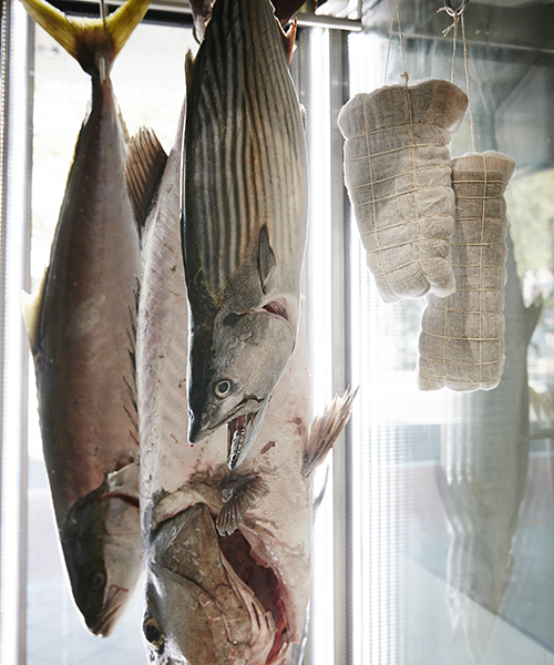 A tour of Josh Niland's new fish shop, Fish Butchery | Gourmet Traveller