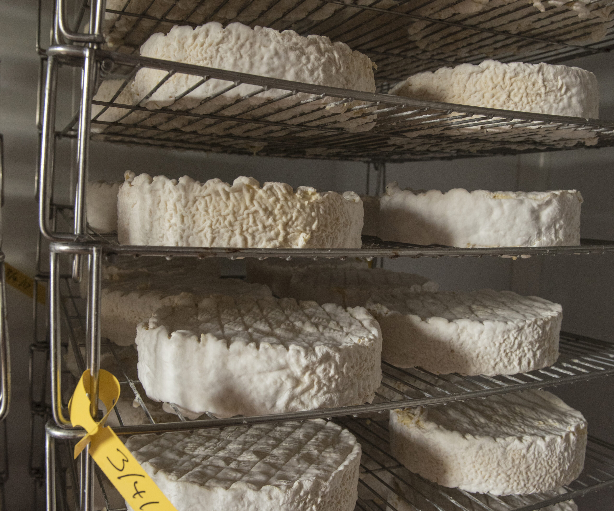 Choose great cheese every time with these tips | Gourmet Traveller