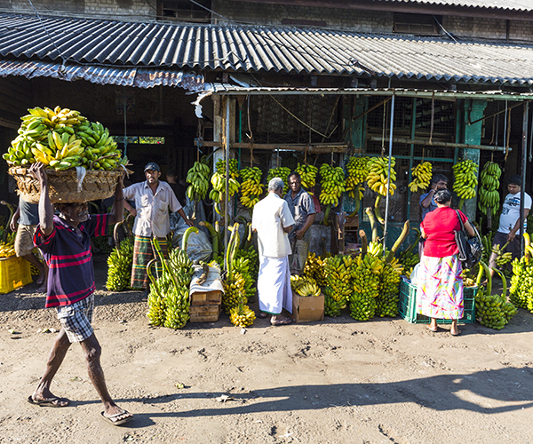 An eating tour of Sri Lanka with O Tama Carey | Gourmet Traveller