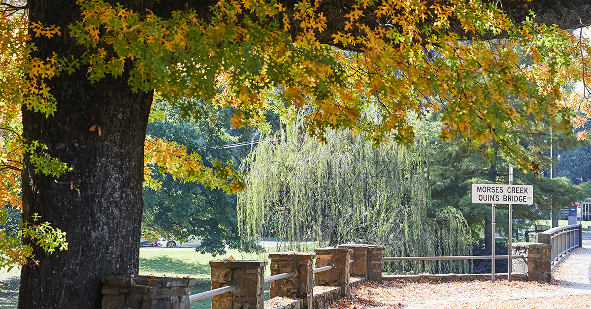 Victoria's reinvigorated High Country | Gourmet Traveller