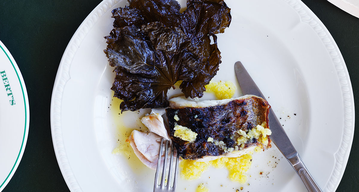 Grilled hapuku recipe with preserved lemon and vine leaves by Jordan ...