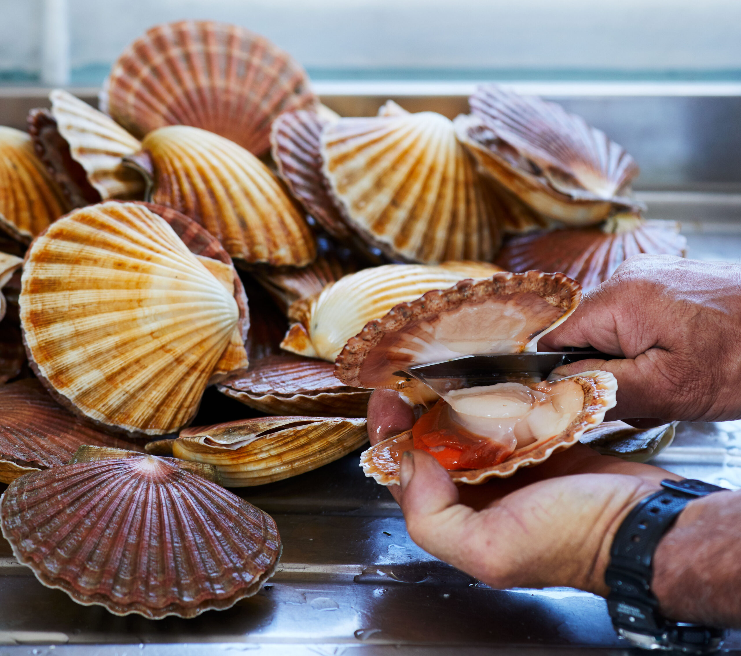 What to do in Scotland | Gourmet Traveller