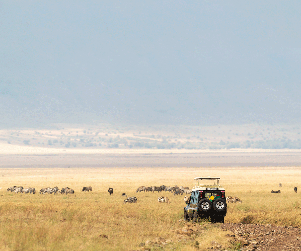 Tanzanian safari guide | Gourmet Traveller