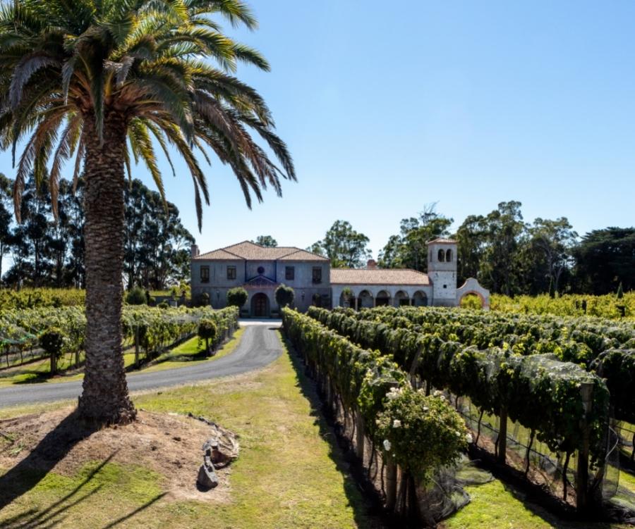 GT-approved tasting tours of Tasmania | Gourmet Traveller