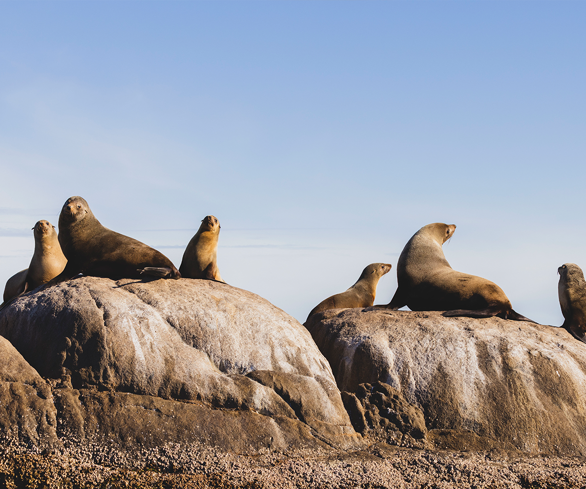 Things to do around Mossy Point, NSW Far South Coast | Gourmet Traveller